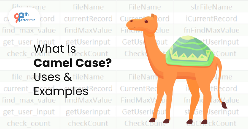 Uses and Examples of Camel Case